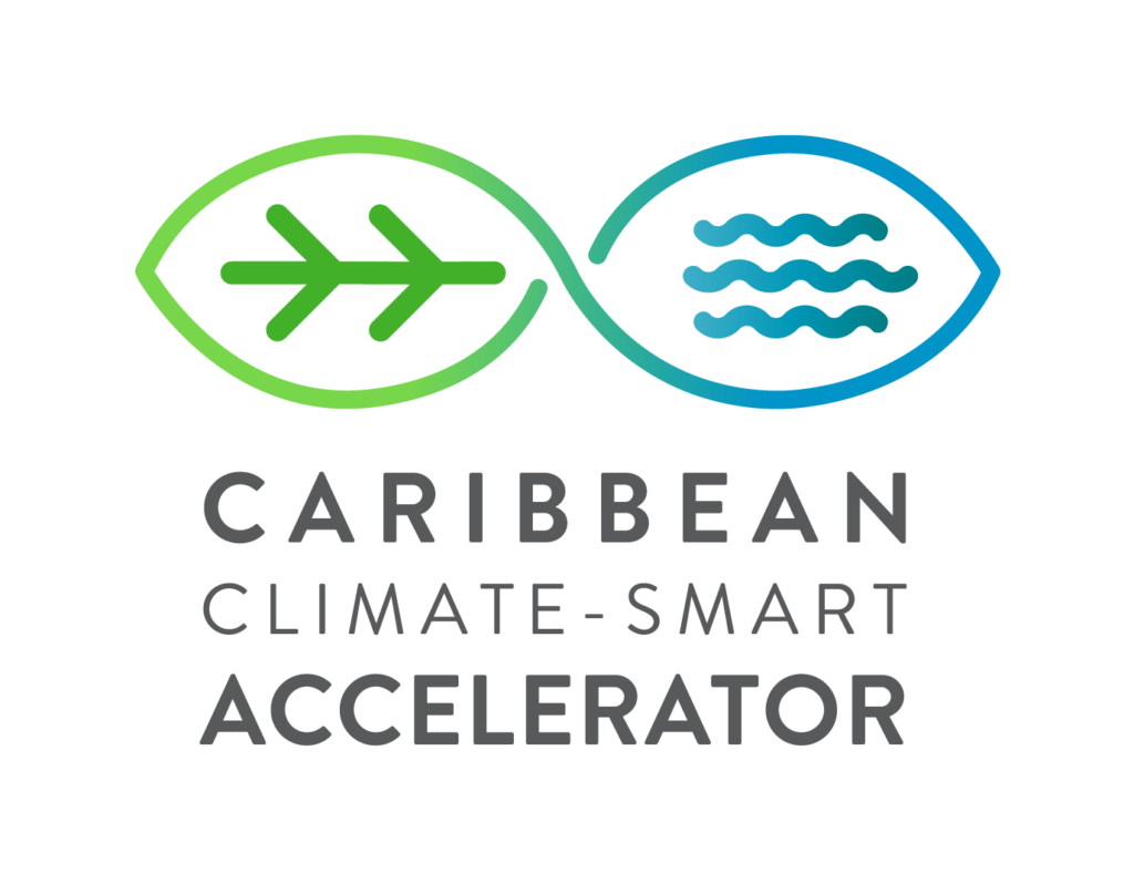 CCSA-LOGO-RGB_FC-1 – SKNIS