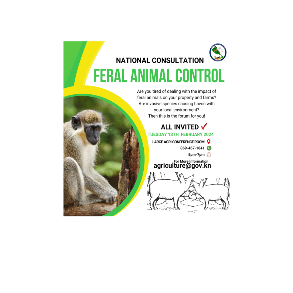 Monkey Control Consultation Poster (1) (1) copy – SKNIS