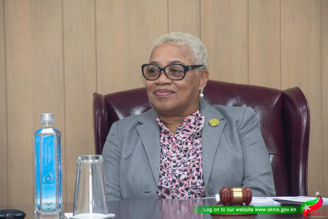 ECSC INITIATES PILOT PROJECT IN ST. KITTS AND NEVIS WITH AI TECHNOLOGY ...