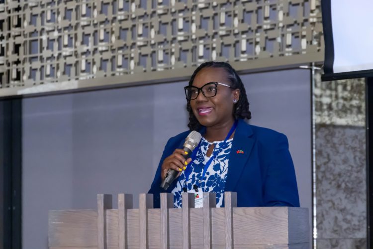 “Saint Kitts and Nevis Is Open for Investment,” says PS Richards to Taiwanese Investors – SKNIS