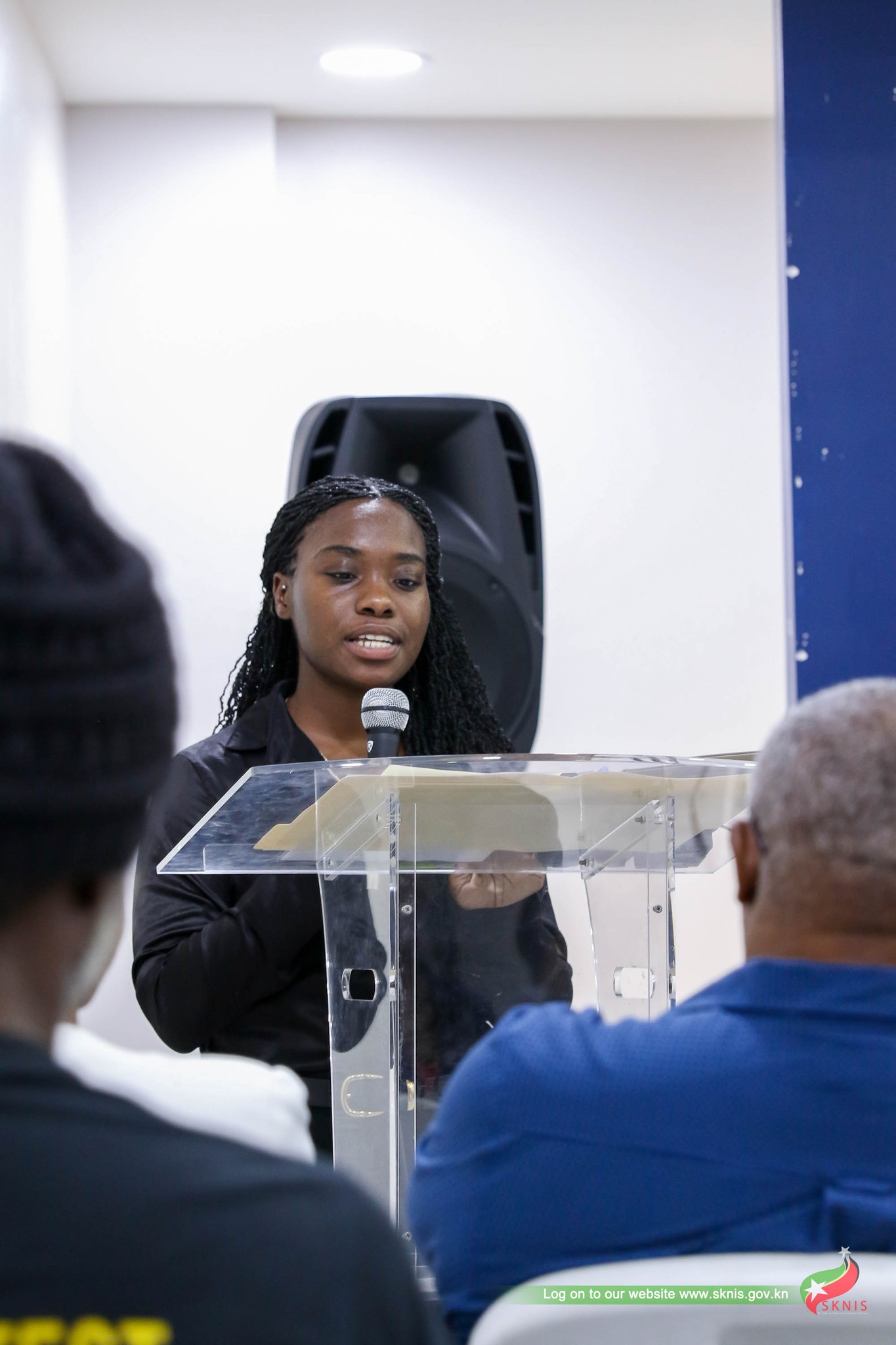 SAINT KITTS AND NEVIS SET TO SHINE AT CARIFESTA XV WITH 100-STRONG ...